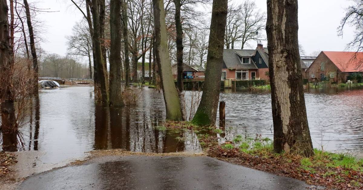 Dinkel treedt buiten oevers bij Losser, maar boer Bertjan blijft er ...