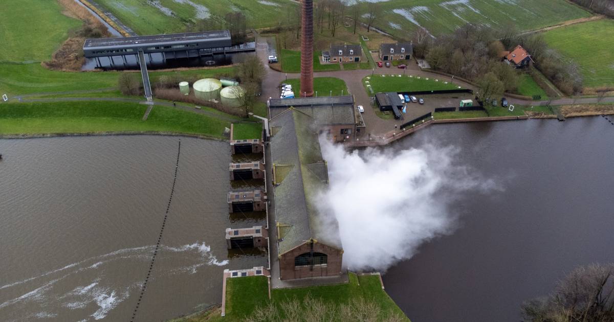 Kort geding van Groningse boeren tegen Wiersma om mestregels ...