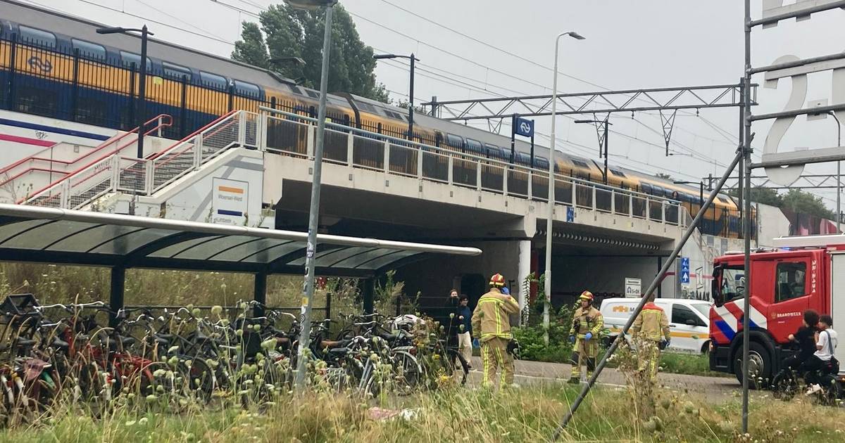 Treinen rijden weer tussen Eindhoven en Boxtel, na inzet hulpdiensten ...