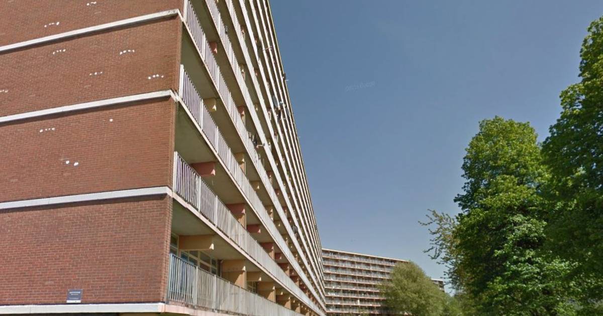 Eerste flat Palenstein dit najaar tegen de vlakte | Den Haag | AD.nl