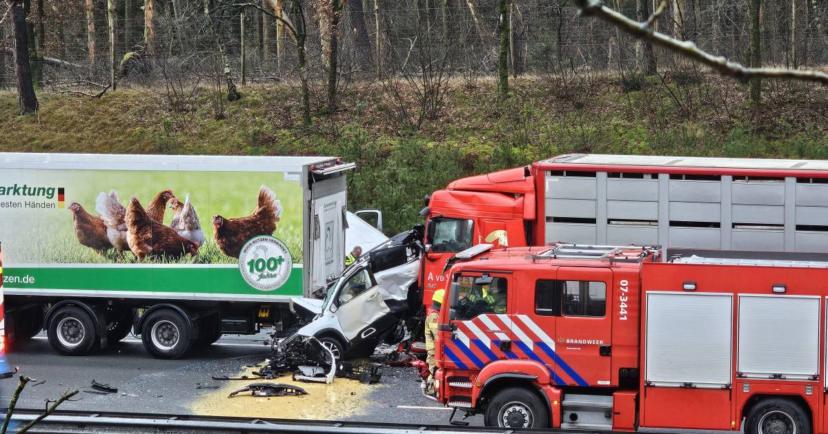 Vrouw (61) overleden bij ongeluk op A50 waarbij auto tussen twee vrachtwagens kwam | Binnenland ...