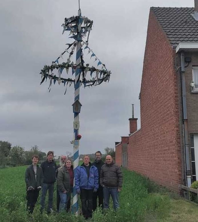 Meiboom geplaatst in Herdersem | Aalst | hln.be