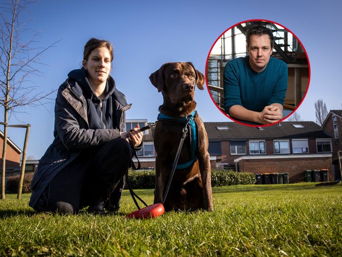 Er komt niets goeds van rotzooi: dode honden, dwangsommen en vervuilde ...