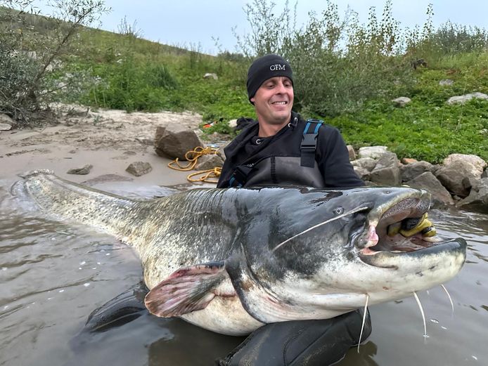 Meervalvisser Paul breekt wéér record en vangt de grootste van ...