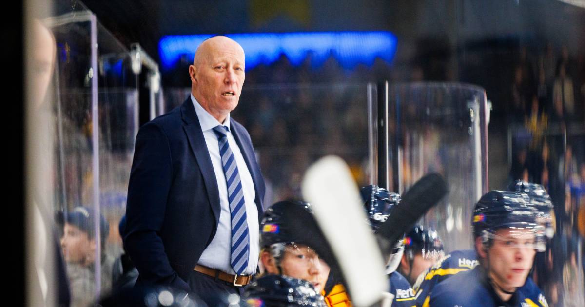 Trappers moet op zoek naar nieuwe trainer; Doug Mason (68) gaat ...