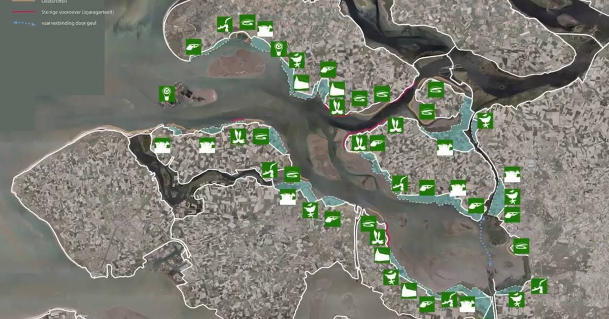 Architect: 'Breek alle keringen en dammen in Zeeland af' | Zeeuws ...