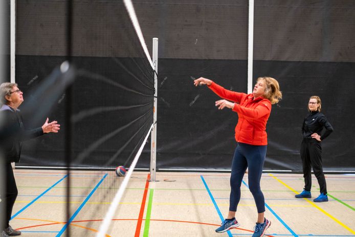 Seniorensportdag laat Bornemnaars proeven van nieuwe disciplines ...