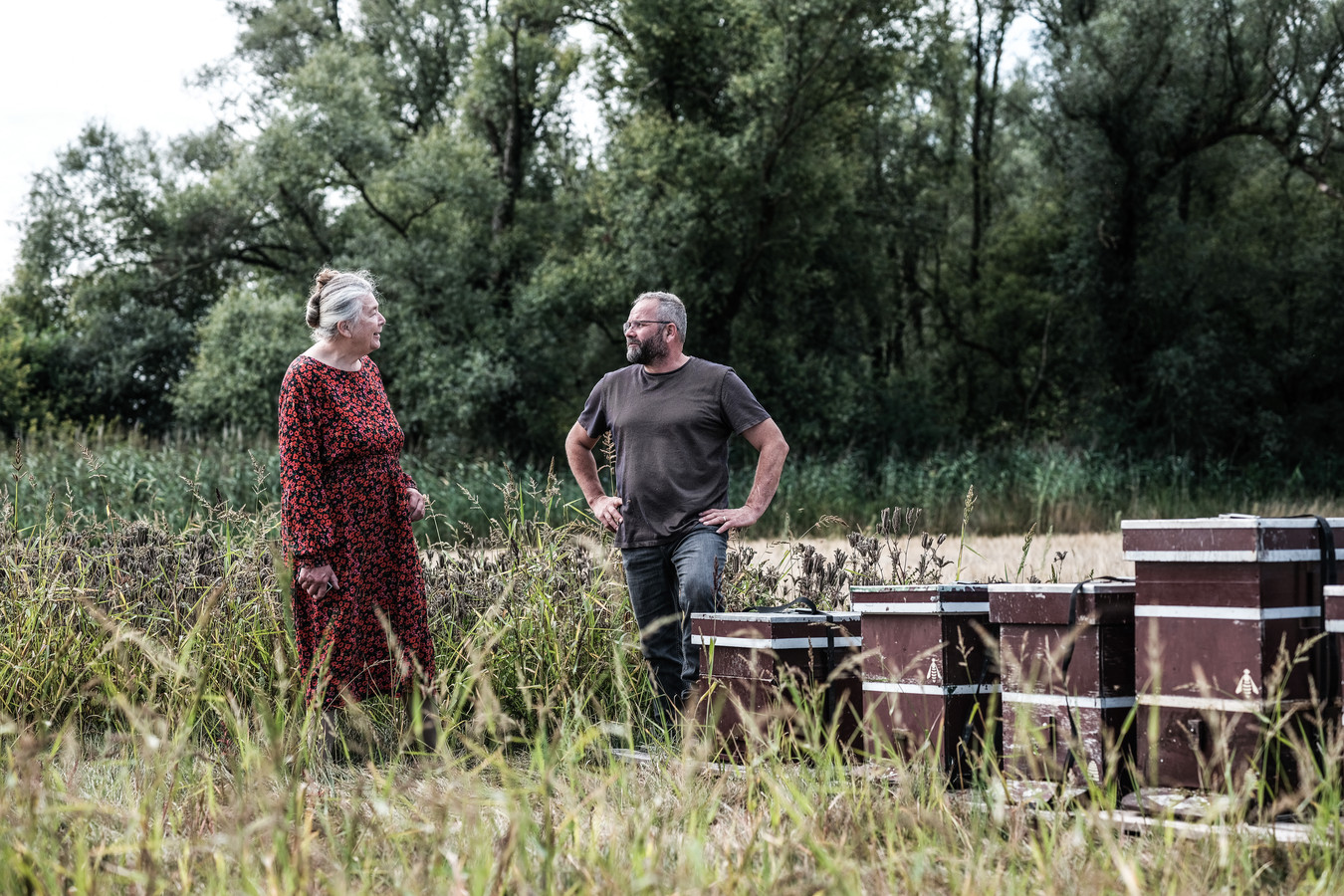 Geen megavarkensstal, maar zonnepark met voedselbos: ‘Kregen kruiwagens ...