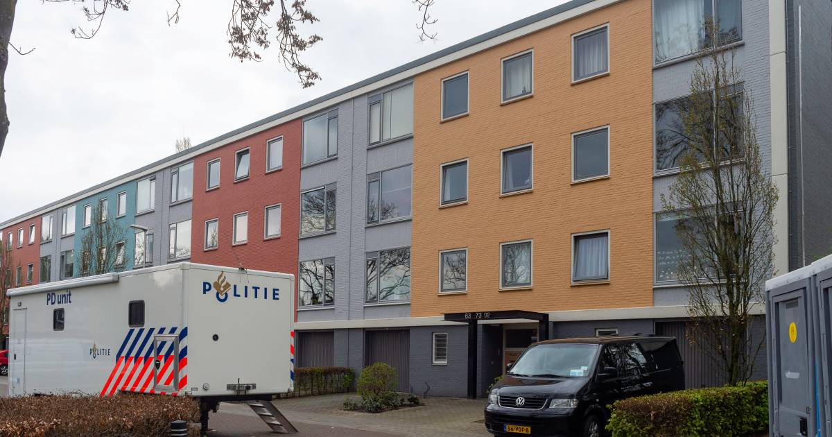 Onderzoek naar gevonden lichaam in Epe nog altijd in volle gang: ‘Achterhalen wat de ...