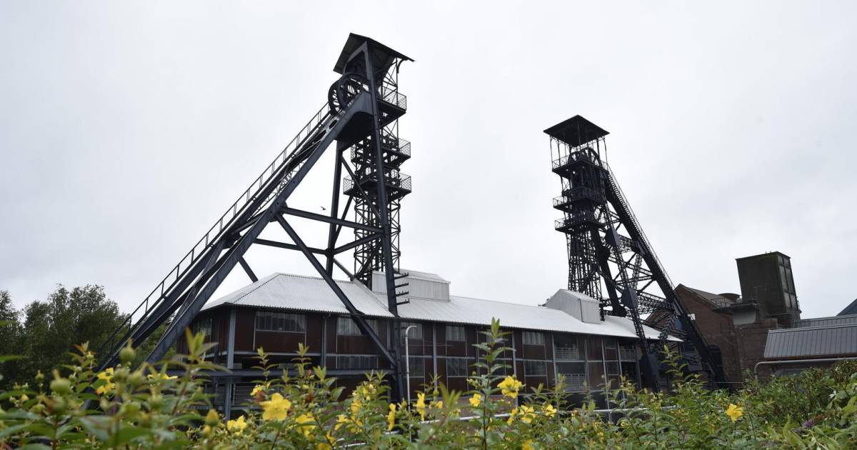Deux victimes du Bois du Cazier identifiées 67 ans après la catastrophe ...