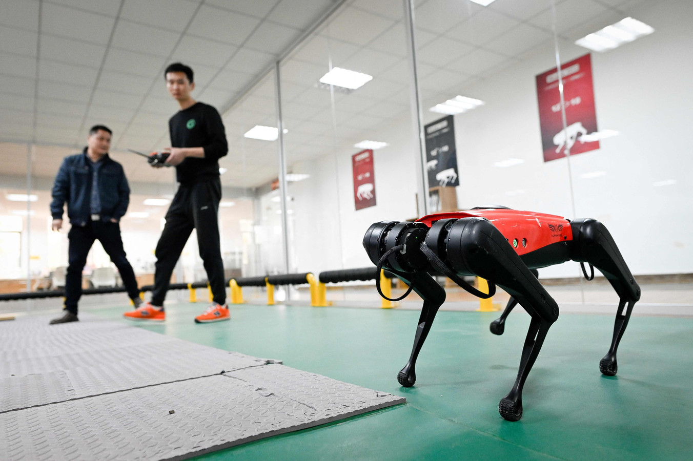Un robochien chinois qui court plus vite que son ombre | Foto | 7sur7.be