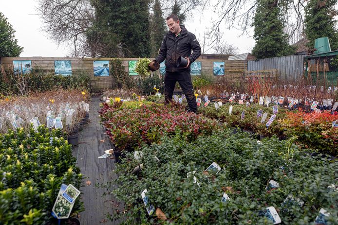 Hier vind je een tuincentrum in de openlucht: ‘Geen personeel, geen ...