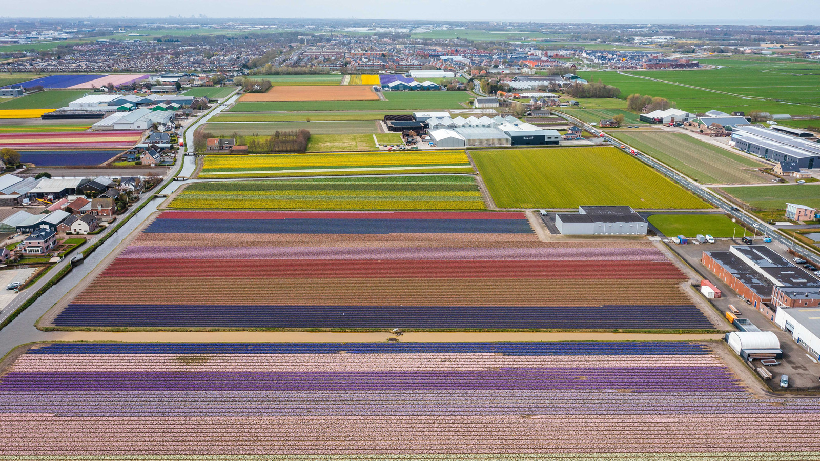 Drukte op de wegen in de Bollenstreek: vertraging op verschillende ...