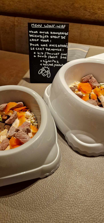 Chef Ignace lanceert menu voor hondjes in restaurant in Knokke: “Er ...