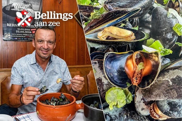 Luc Bellings proeft ‘mosselen natuur’ aan de kust en deelt een perfecte ...