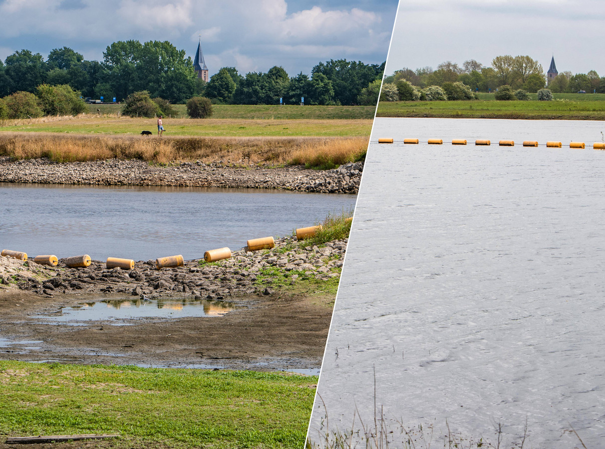 Noodkreet van Wereld Natuur Fonds over natuur langs IJssel: ‘Erger dan ...