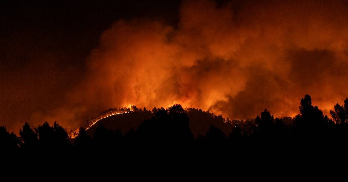 Eerste grote bosbrand van het jaar in Spanje: bijna 4.000 hectare ...