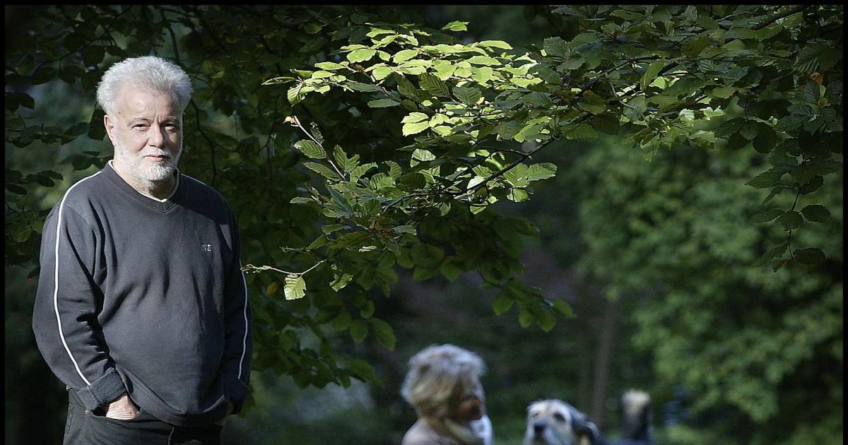 ‘Kunstenaar van de Peel’ Johan Claassen (80) overleden | Gemert-Bakel ...