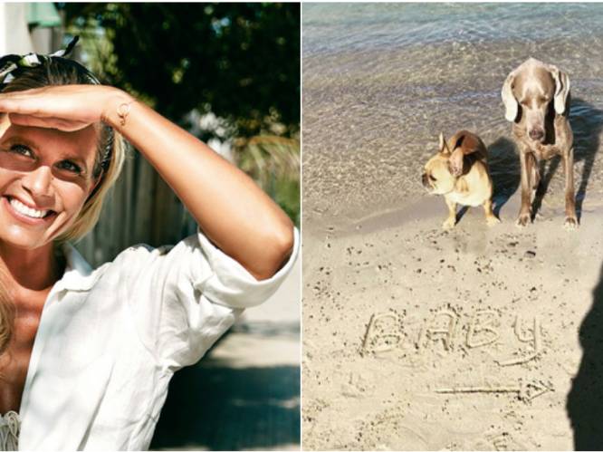 Wie is Nadim Hashim, de vader van Nathalie Meskens kindje? | Showbizz ...