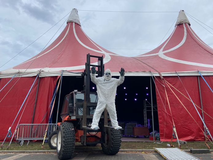 Aspibal wil 3.000 feestbeesten los zien gaan | Zoersel | hln.be