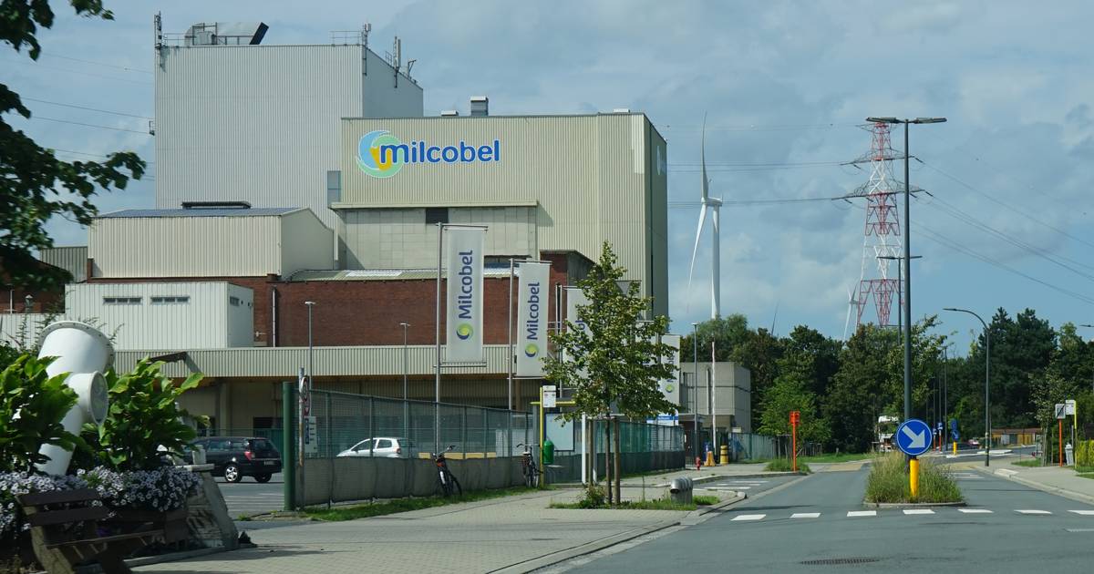 Zuivelcoöperatie Milcobel schroeft melkpoederproductie terug en schrapt ...