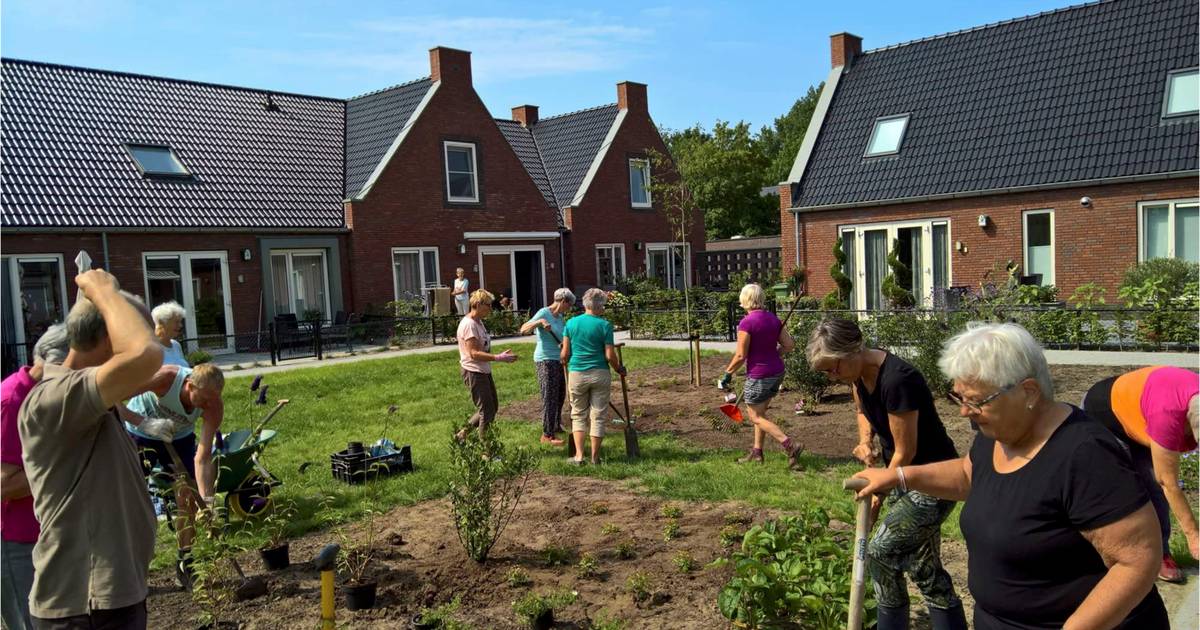 Eerste Enschedese Knarrenhof in de maak, vitale ouderen gezocht ...