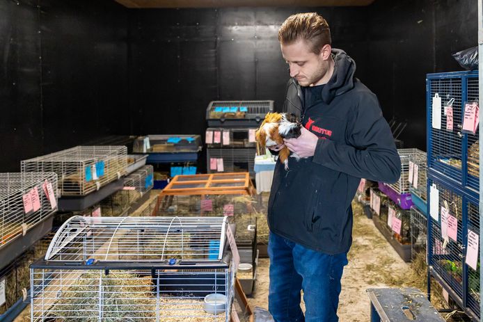 Dierenopvang Flappus in Zwolle slaat alarm: ‘Dan zijn we niet langer ...