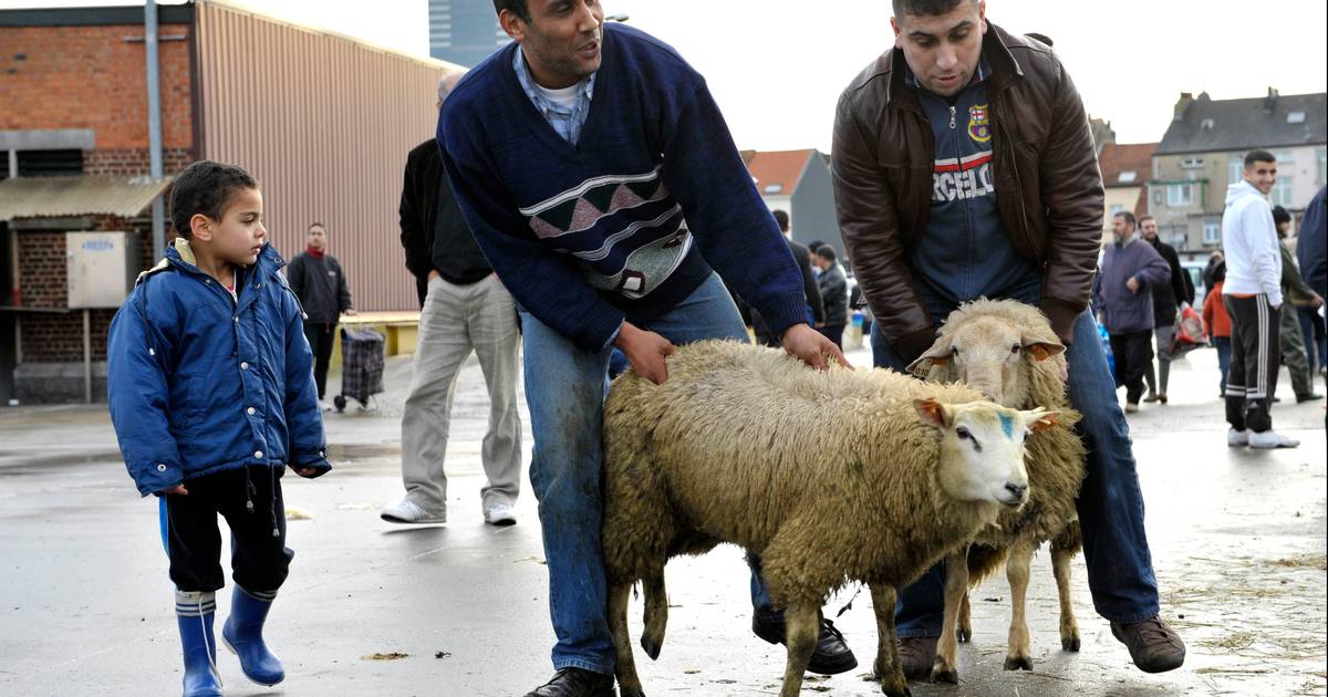 Vier tijdelijke slachtplaatsen in Brussel tijdens Offerfeest | Islam ...