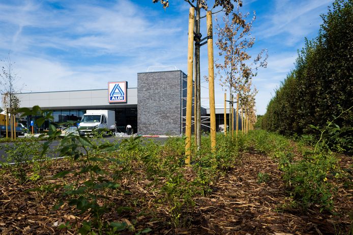 Aldi opent nieuwe winkel aan Bredabaan: groter en extra personeelsleden aangeworven | Wuustwezel ...