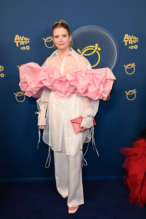 Bekend Nederland in vol ornaat op blauwe loper van het Gouden ...