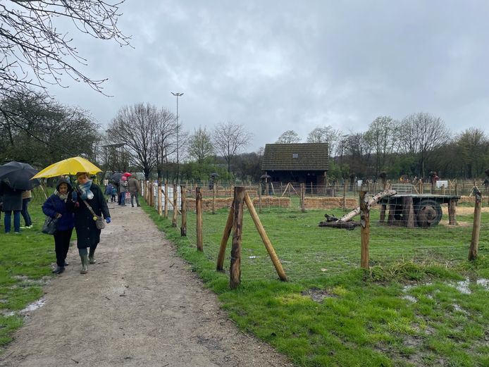 NET OPEN. Wilrijk heeft eindelijk weer een kinderboerderij: “Dit is een ...