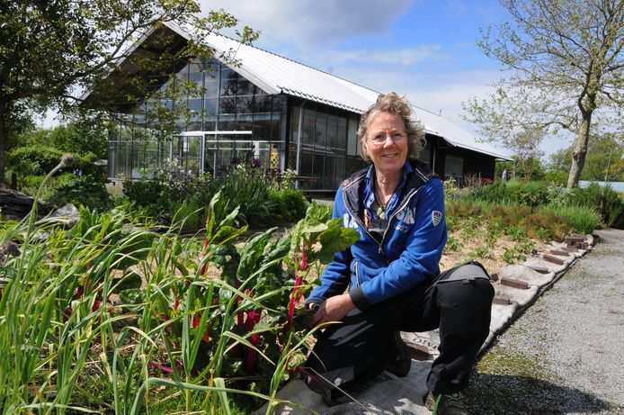 Dieneke kweekt eetbare bloemen en vergeten groenten: ‘Zoeken naar ...