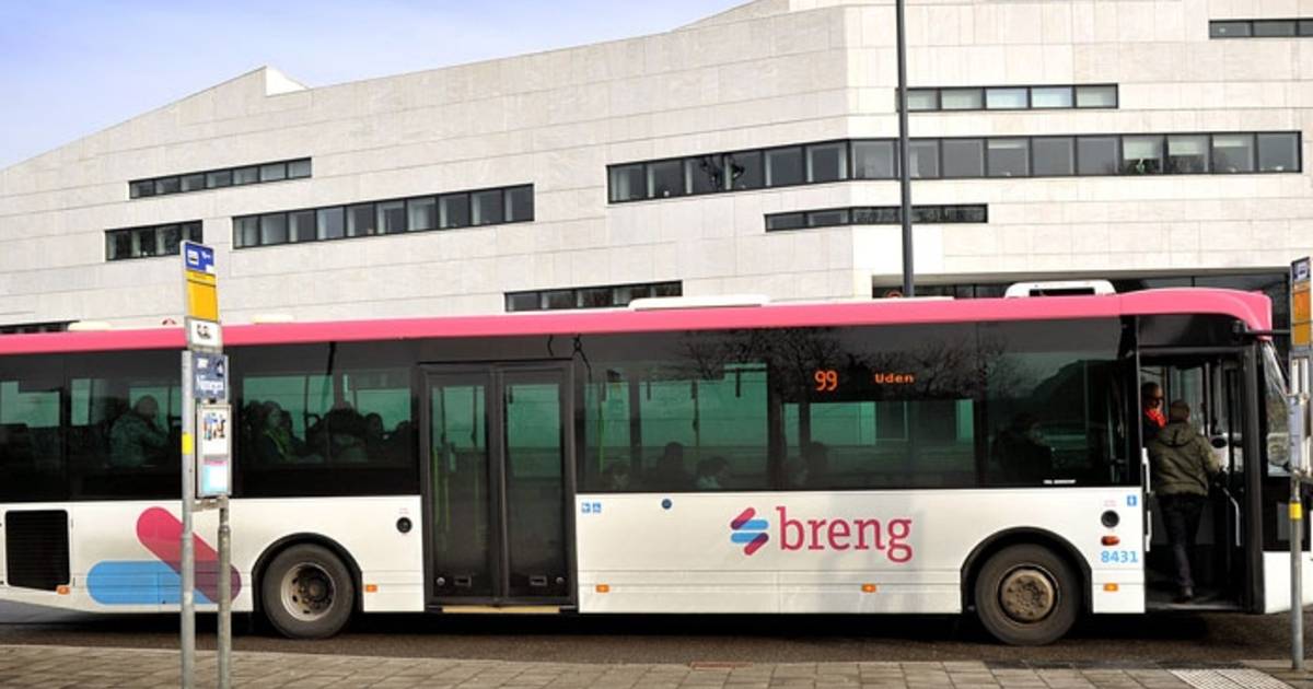 Actie: snelle bus tussen stad en Beuningen | Nijmegen | gelderlander.nl