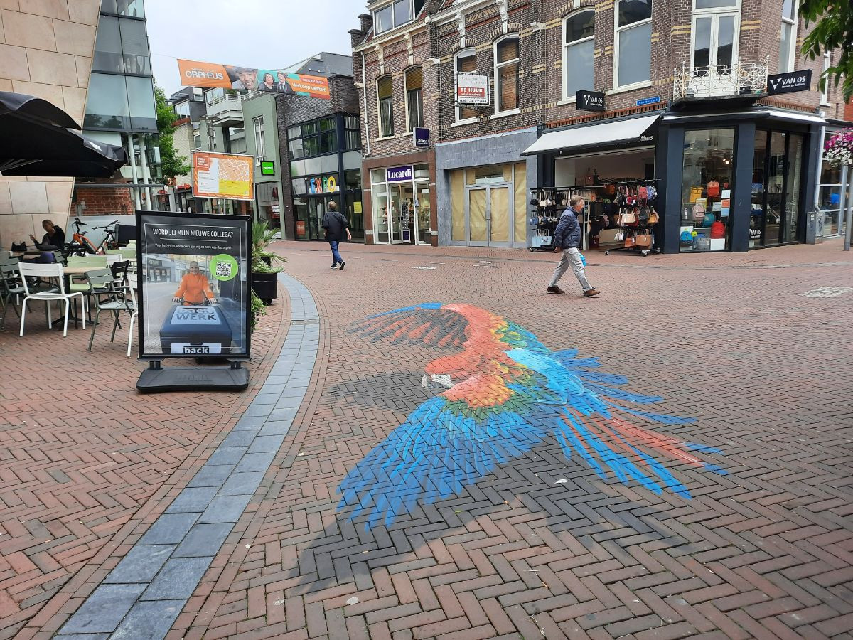 Veluwse gastgemeentes bereiden zich voor op WK volleybal: ‘We zorgen ...