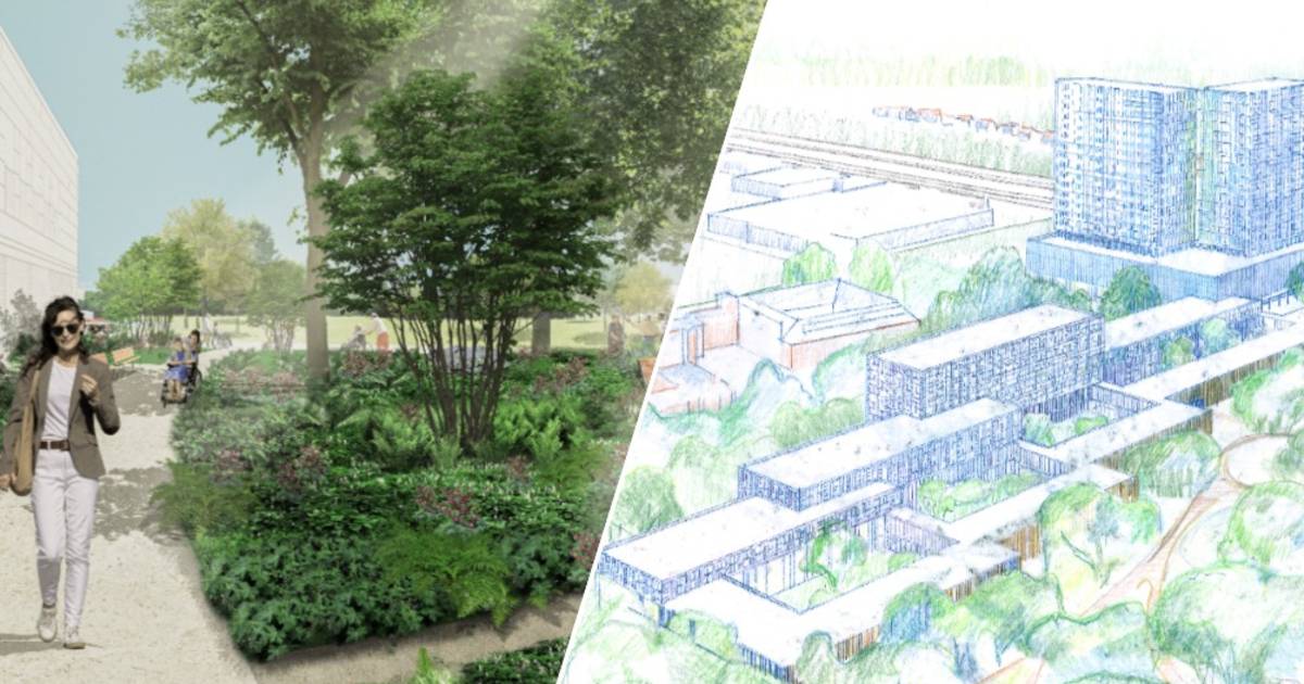 Jessa Ziekenhuis bundelt drie campussen in één ‘zorgpark’ | Hasselt | hln.be