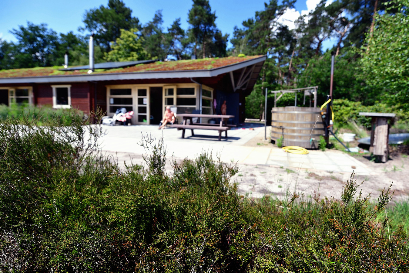 Naturistencamping in Rucphen zoekt jongeren voor wat 'reuring in de ...