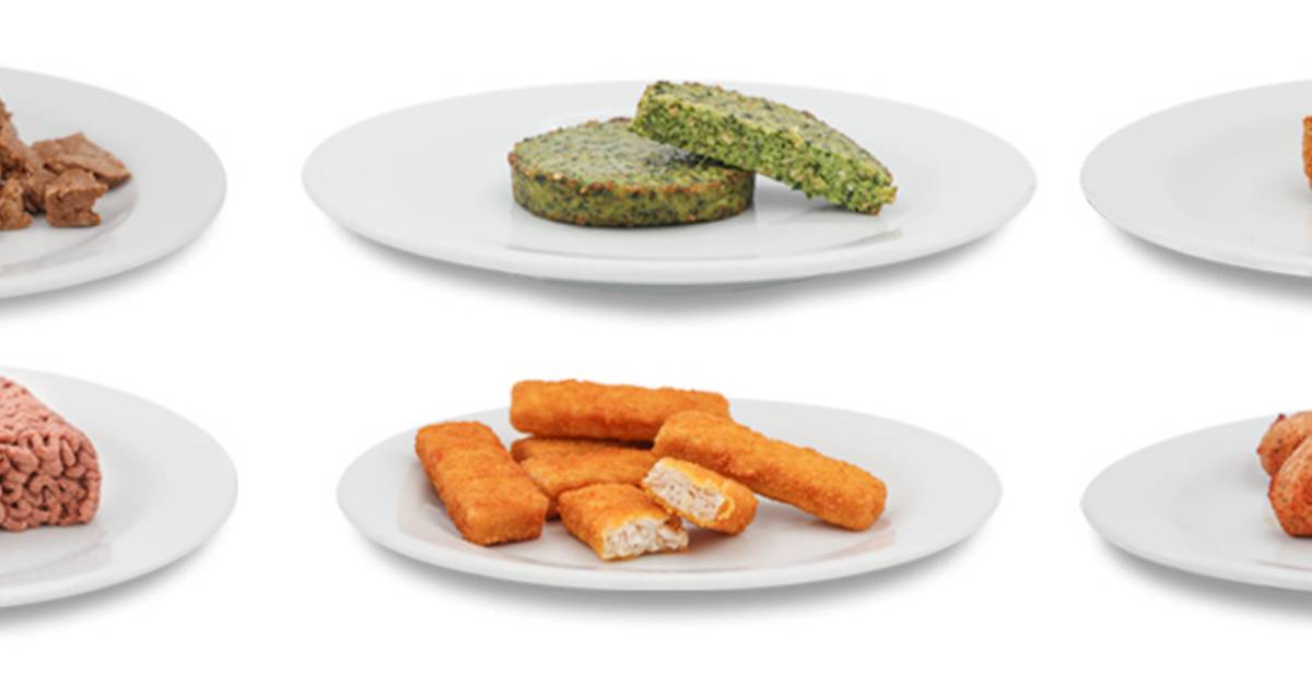 Osse Dalco Food breidt uit in Oosterhout | Oss | AD.nl