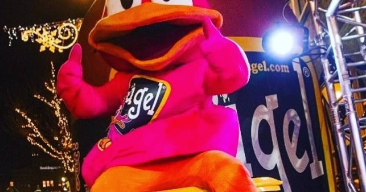 Gezocht (m/v): fulltime Flügel-eend om te dansen op evenementen | Het ...