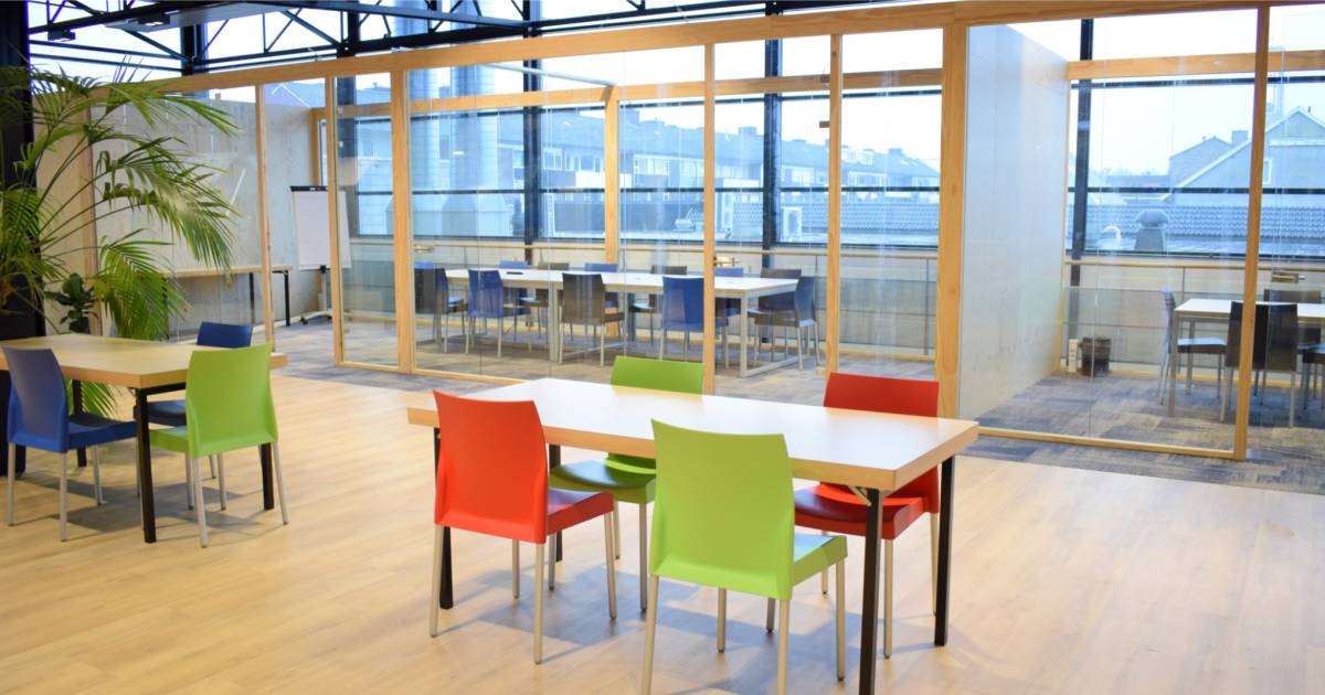 Vragen, studeren en werken: bibliotheken in Dronten en Lelystad openen ...