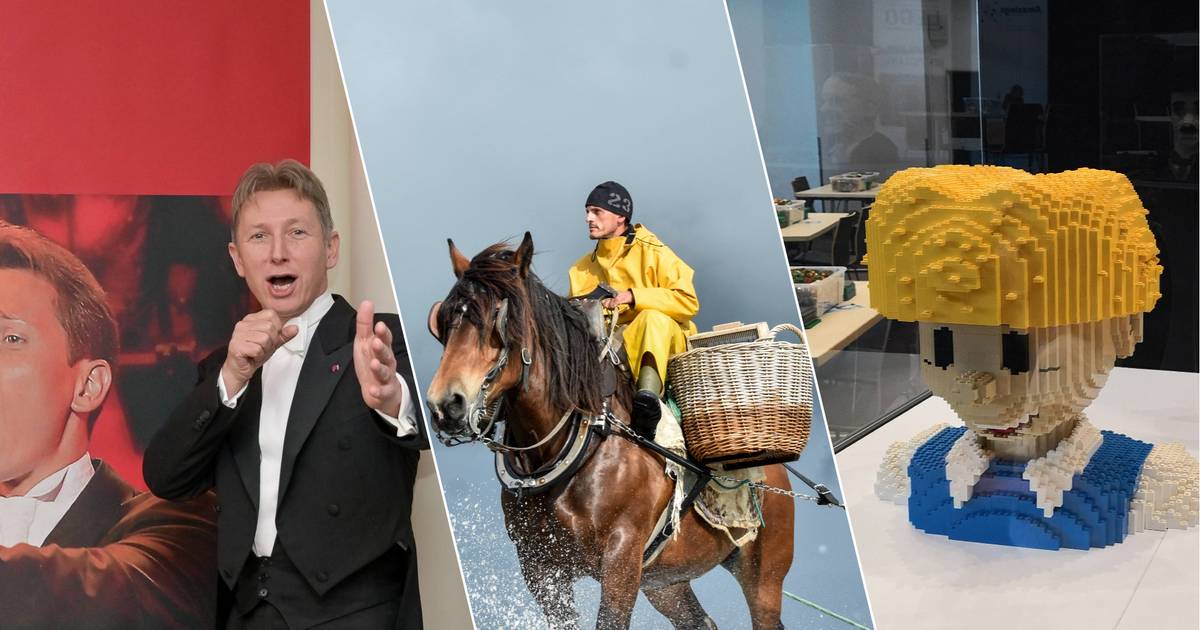 Wat te doen in Koksijde deze zomer: Van meezingen met Helmut Lotti tot ...