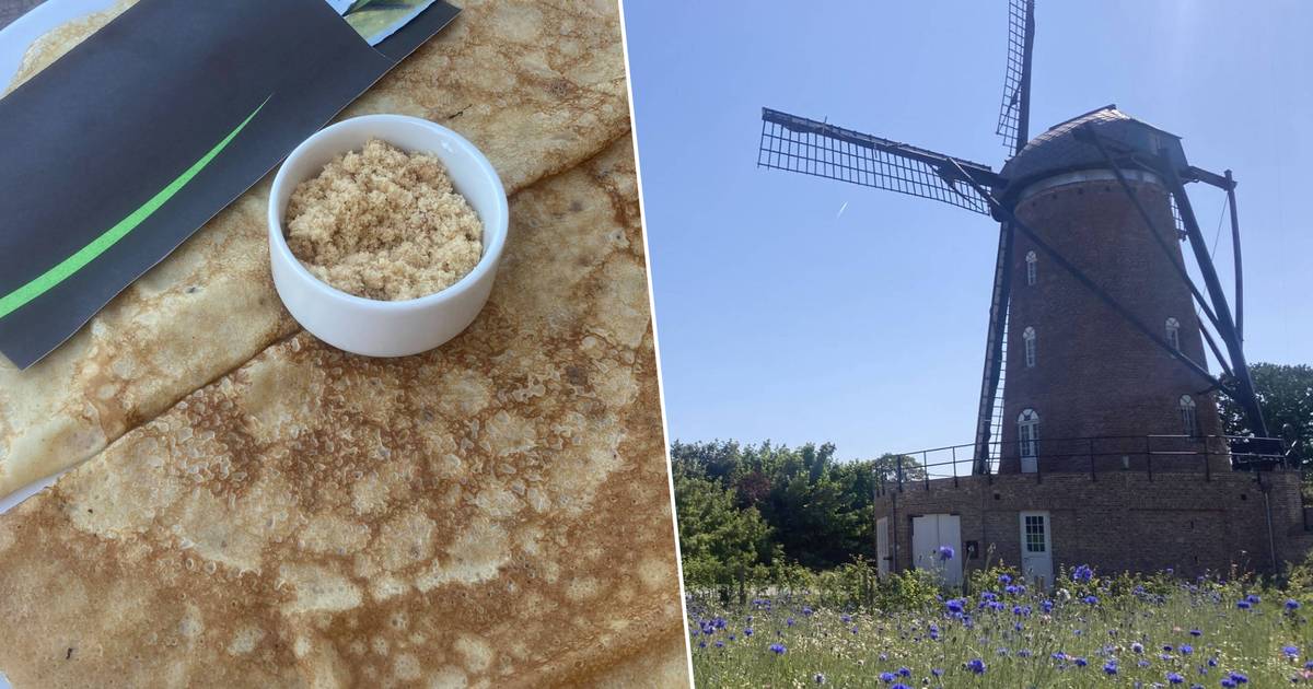 RESTOTIP. Café De Molen: smullen van pannenkoeken met zicht op ...