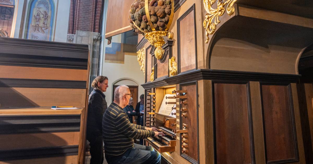 Tineke is verliefd op het Severijn-orgel: ‘De parel van Brabant is de ...