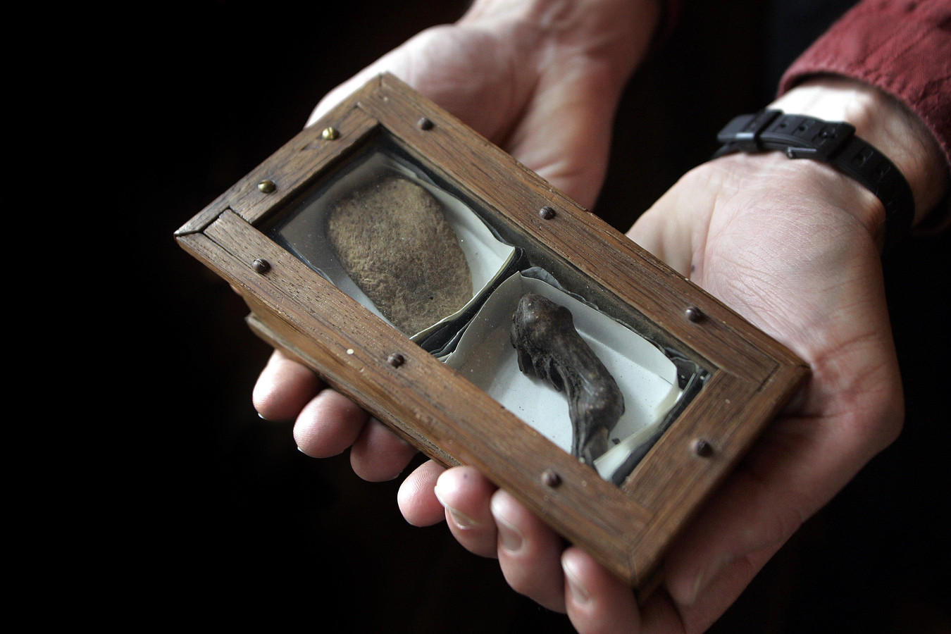 Zijn deze afgehakte vinger en tong écht van de gebroeders De Witt ...