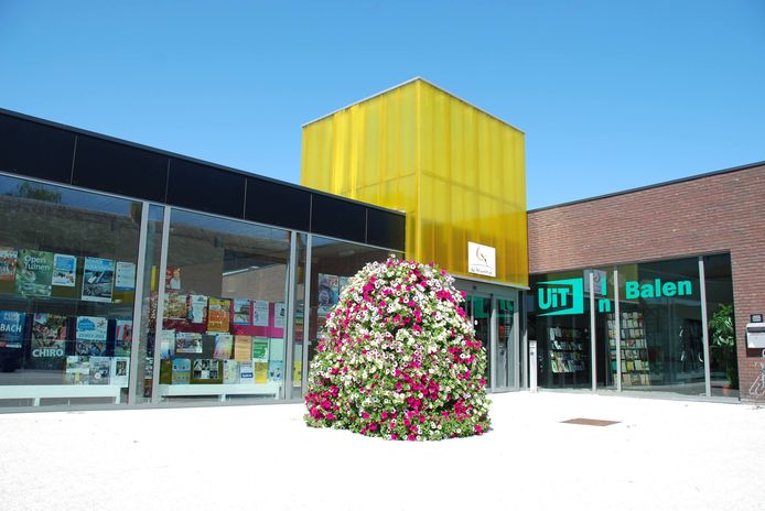 Dit zijn de kandidaten voor DEGOEIZAAK, en hun plannen voor Balen ...