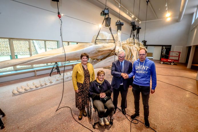 Potvis Valentijn hangt 35 jaar na zijn overlijden aan plafond van ...