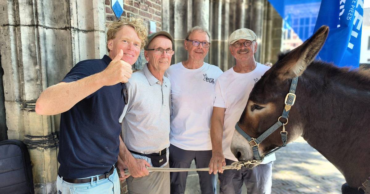 Ezeltje Berry brengt sponsortocht naar Utrecht tot een goed einde ...