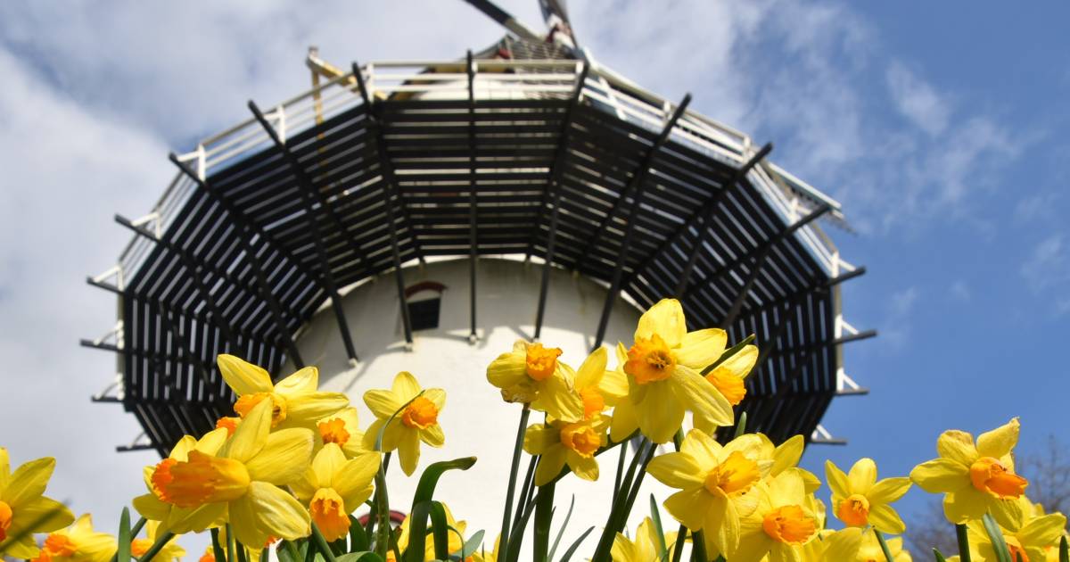 MIJN FOTO | Molen De Hoop in Middelburg op een mooie lentedag ...
