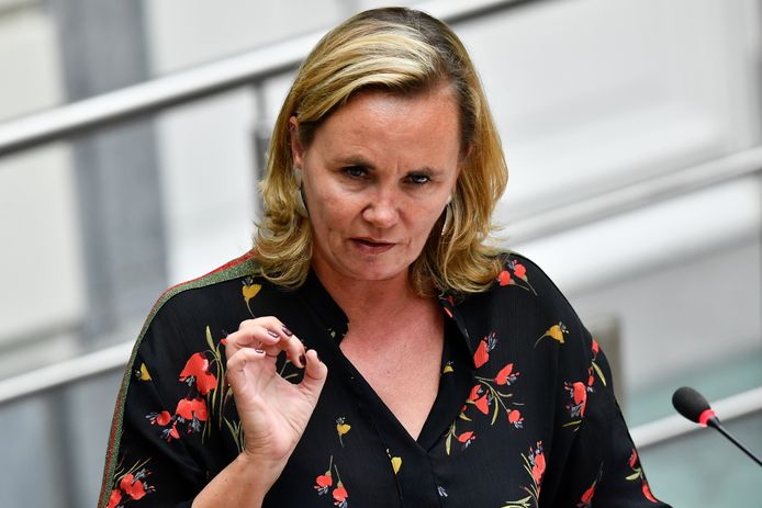 Liesbeth Homans pressentie pour prendre la tête du gouvernement flamand ...