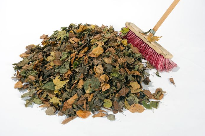 Plastic bezemharen gaan in de ban: natte berkentakken nieuwe norm ...