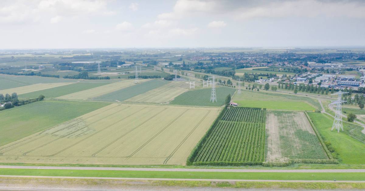 Kapelle wil doorbouwen en legt claim op 85 hectare landbouwgrond ...